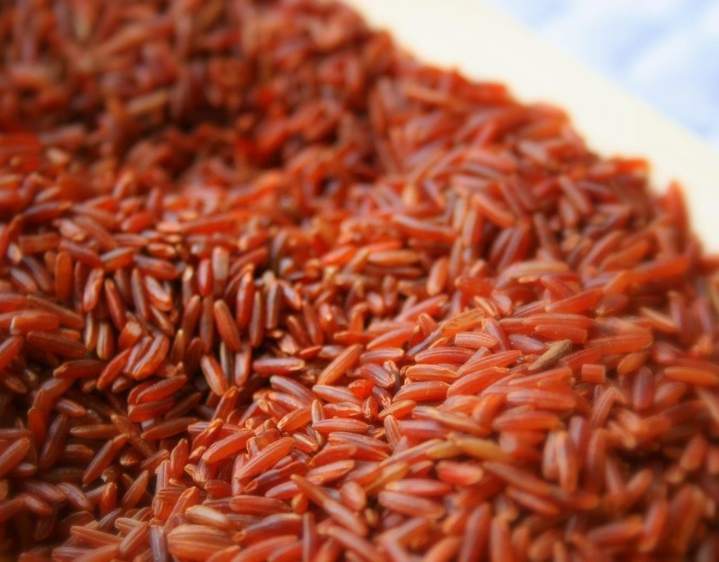 Riso Rosso: quali benefici?-Alimentazione | Benessere Femminile